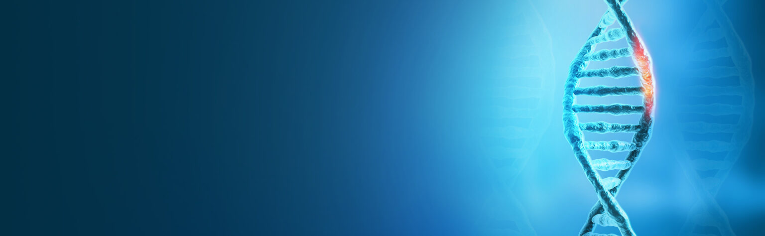 HALO Precision Diagnostics Expands Imaging and Genetic Services to ...